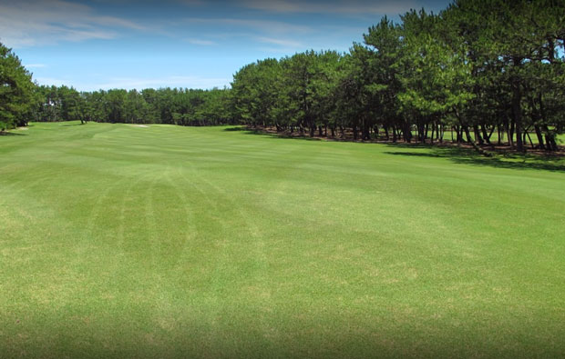 Phoenix Country Club in Miyazaki | Golf Course in Miyazaki, Japan.